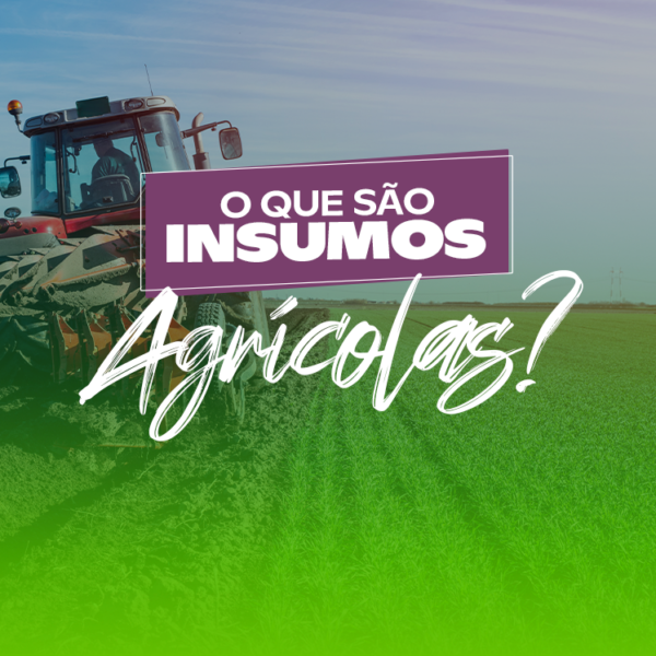 O que são insumos agrícolas? - Florindo Agro - Tradição e Inovação no Campo